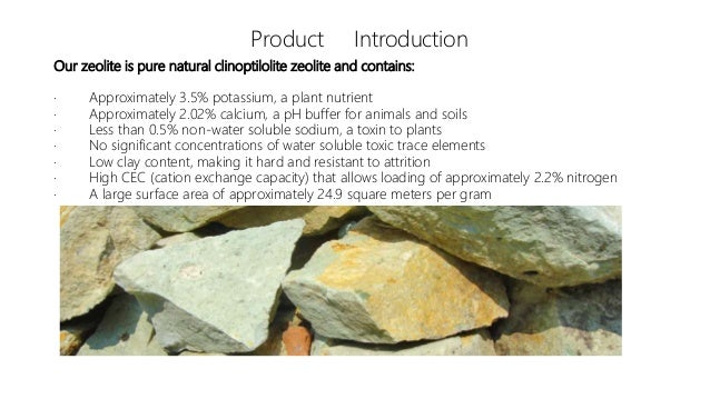 Natural Zeolite from Shanxi Global Co.,Ltd.ppt