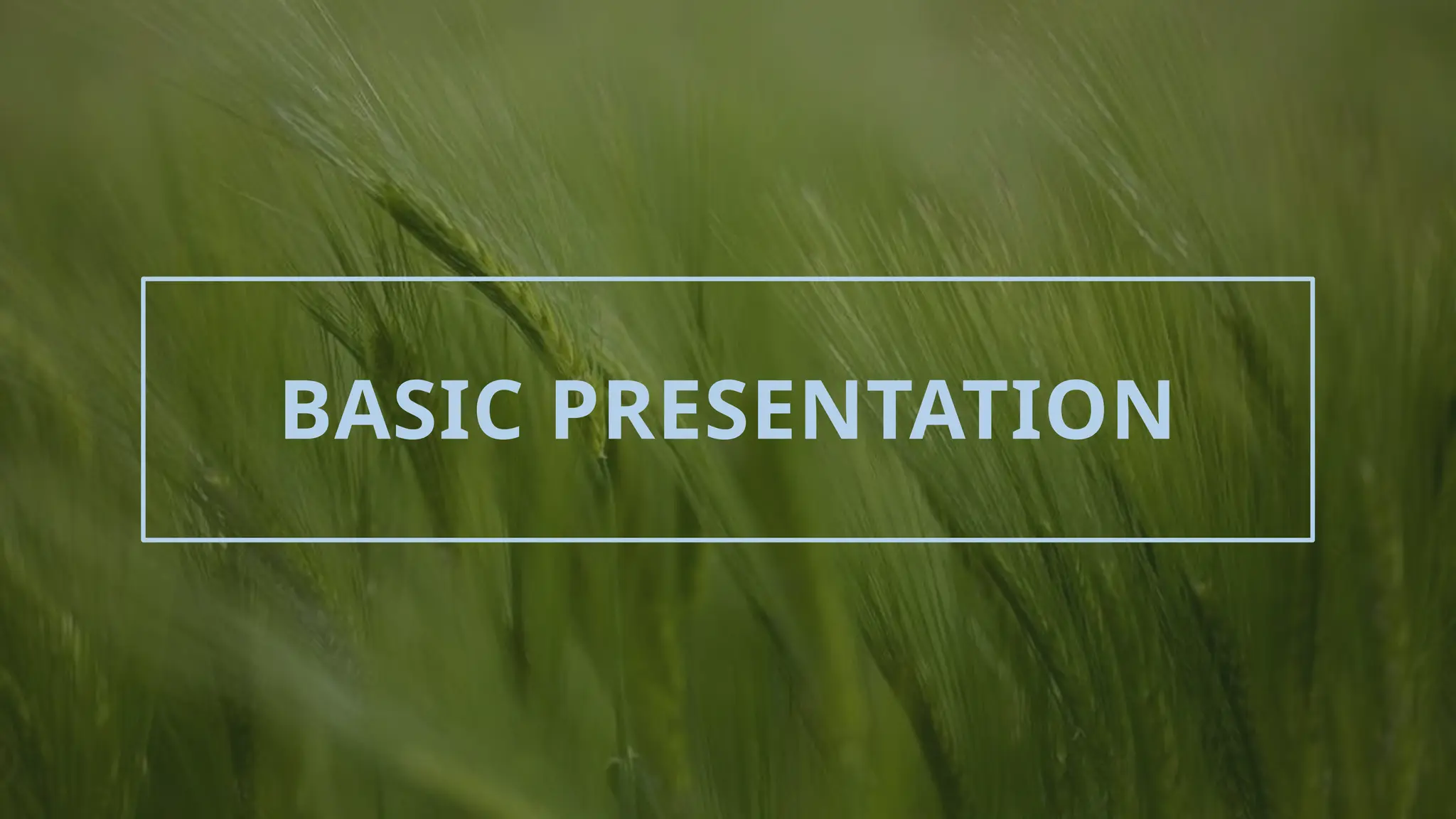 Basic Presentation with Images of Nature and Plant | PPTX