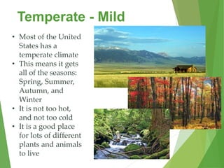 Nature animals and plants | PPTX