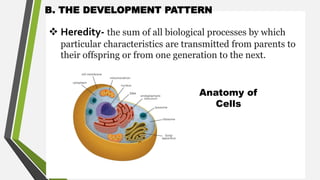 NATURE-OF-DEVELOPMENT.pptx