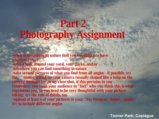 Nature Photography Project Laura And Michelle | PPT