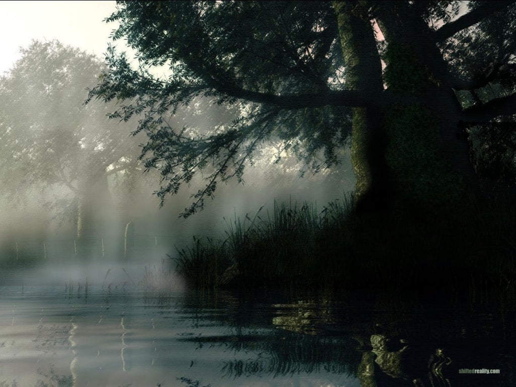 nature-slideshow