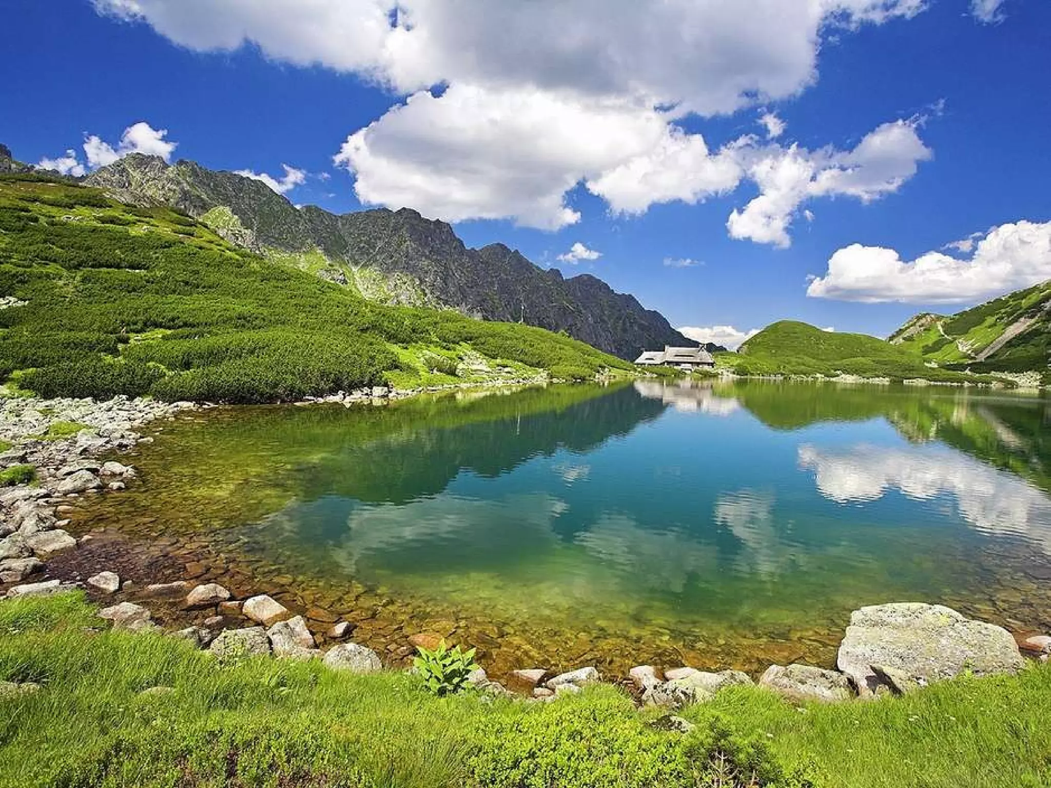 Nature Wallpaper | PPT