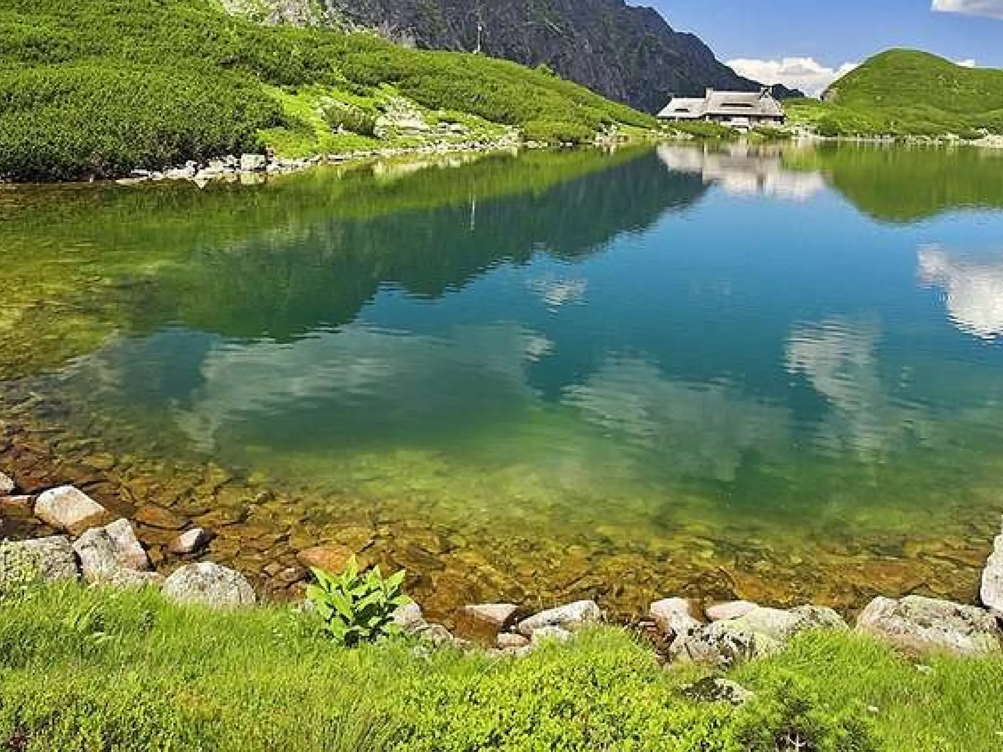 Nature Wallpaper | PPT