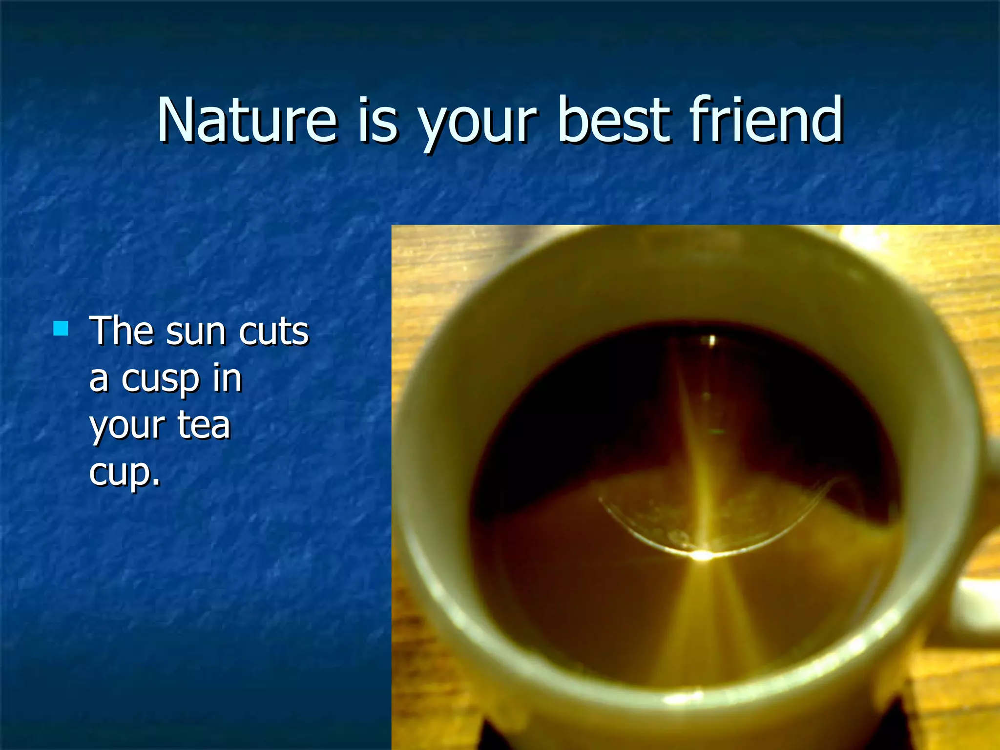 Nature is our best friend | PPT