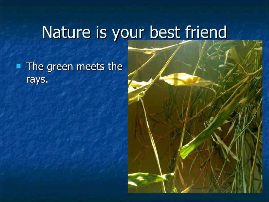 Nature is our best friend