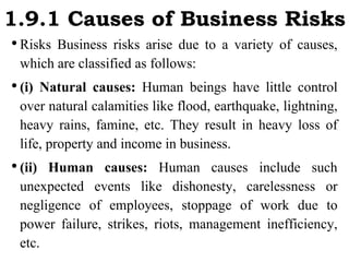 Nature and causes of business risks pgp | PPTX