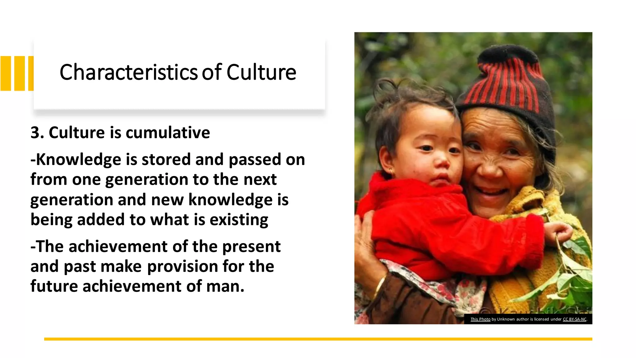 Nature and meaning of culture | PDF