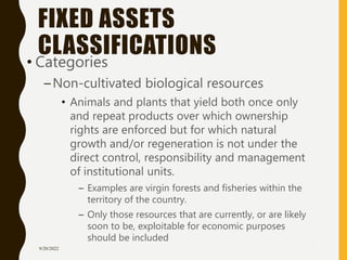 Nature and Meaning of Fixed Assets.ppt