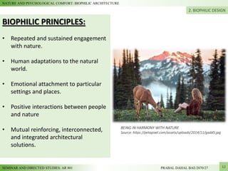 Nature and Psychological Comfort: Biophilic Architecture | PDF