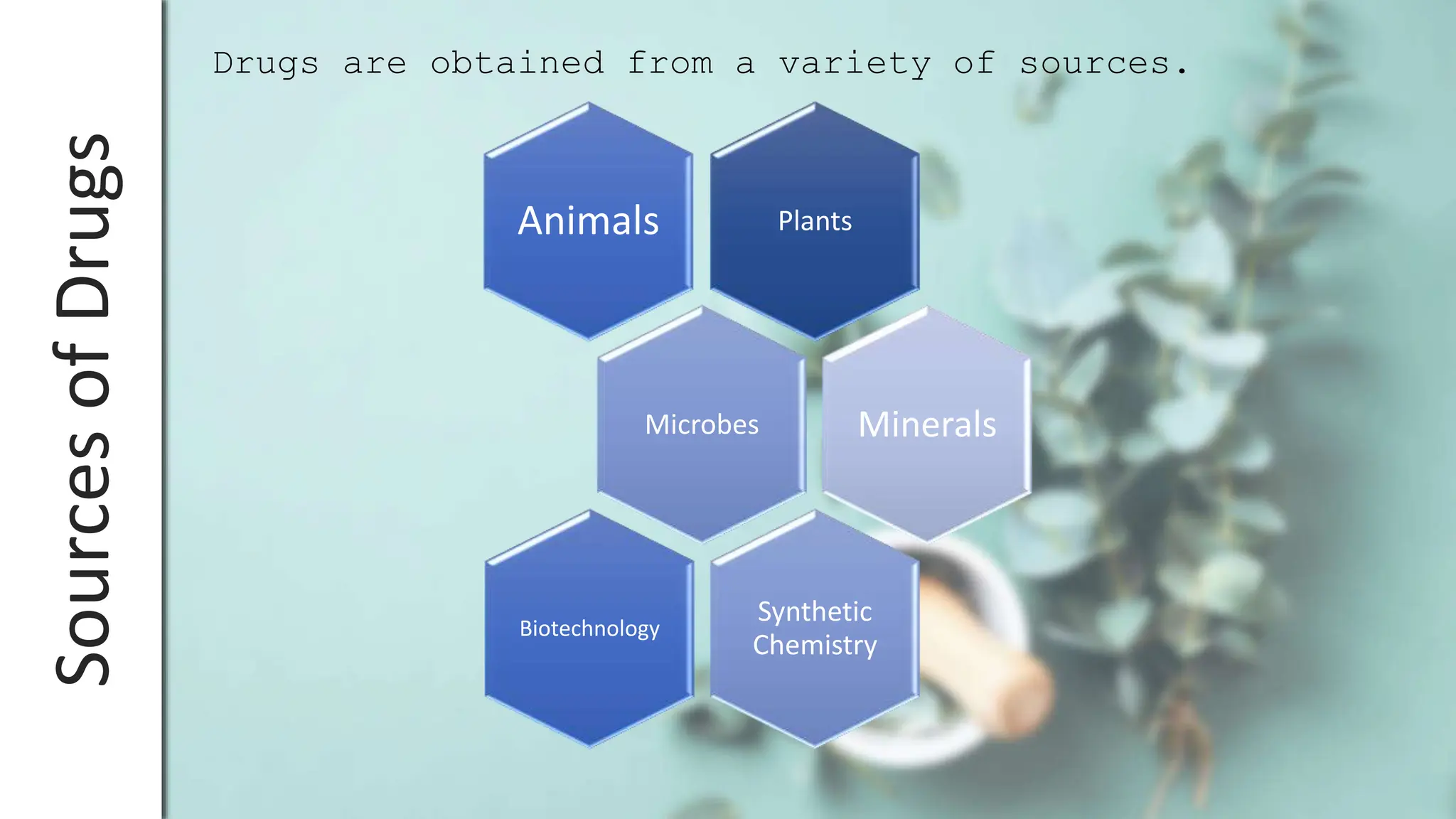 Exploring the Nature and Sources of Drugs: A Comprehensive Overview | PPTX