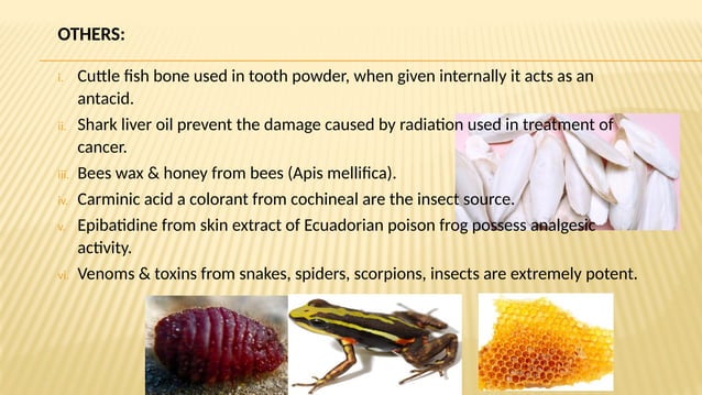 Nature and sources of drugs,PHARMACOLOGY .pptx