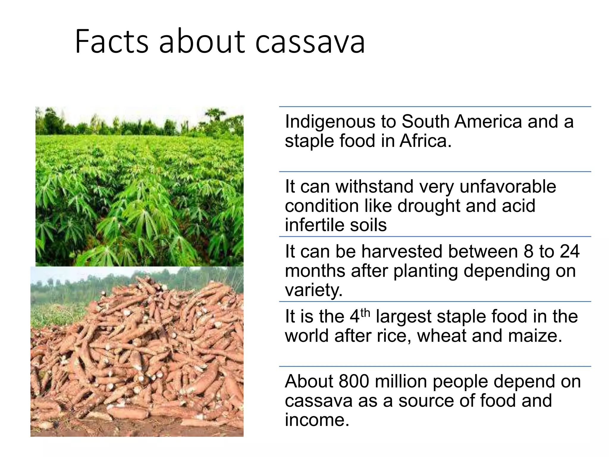 Nature Based Solution Approach Applied to a Cassava Value Chain | PPT