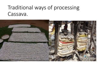 Nature Based Solution Approach Applied to a Cassava Value Chain | PPT