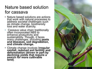 Nature Based Solution Approach Applied to a Cassava Value Chain | PPT