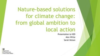 Nature-based solutions for climate change: from global ambition to ...