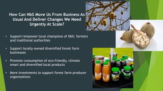 Nature-based solutions: working with forest and farm facility producer ...