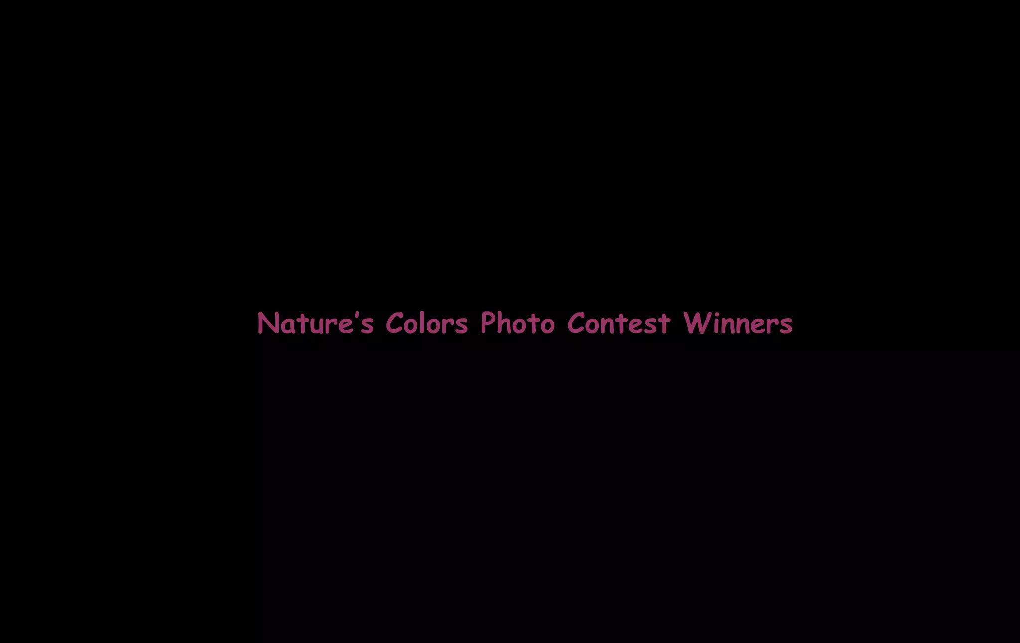 Nature’s Colors Photo Contest Winners | PPT