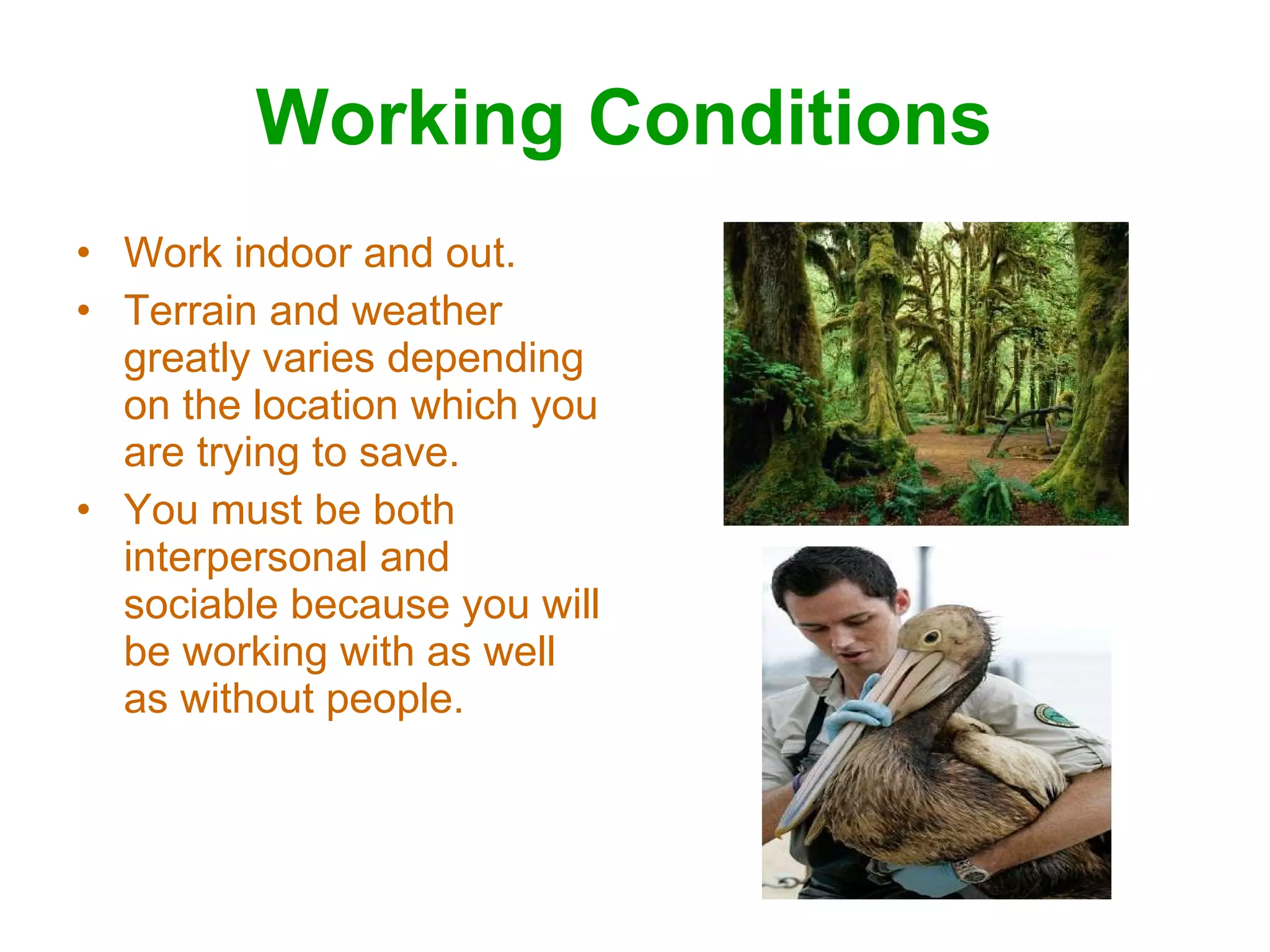 Nature conservation officer | PPT