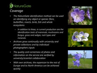 Naturegate presentation 30052011 | PDF