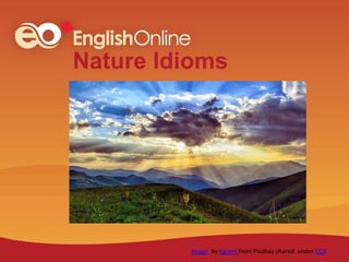 Nature idioms | PPTX