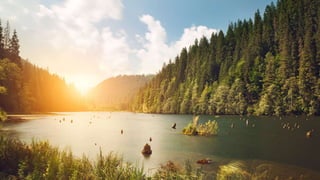 Intimacy Nature Therapy - Nature Images | PPT