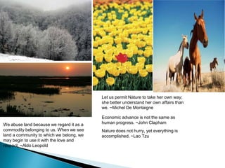 Nature is all around us | PPTX