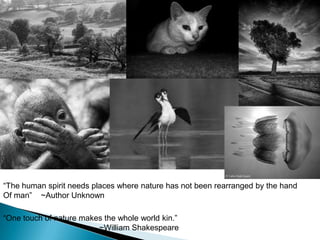 Nature is all around us | PPTX
