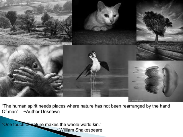 Nature is all around us | PPTX