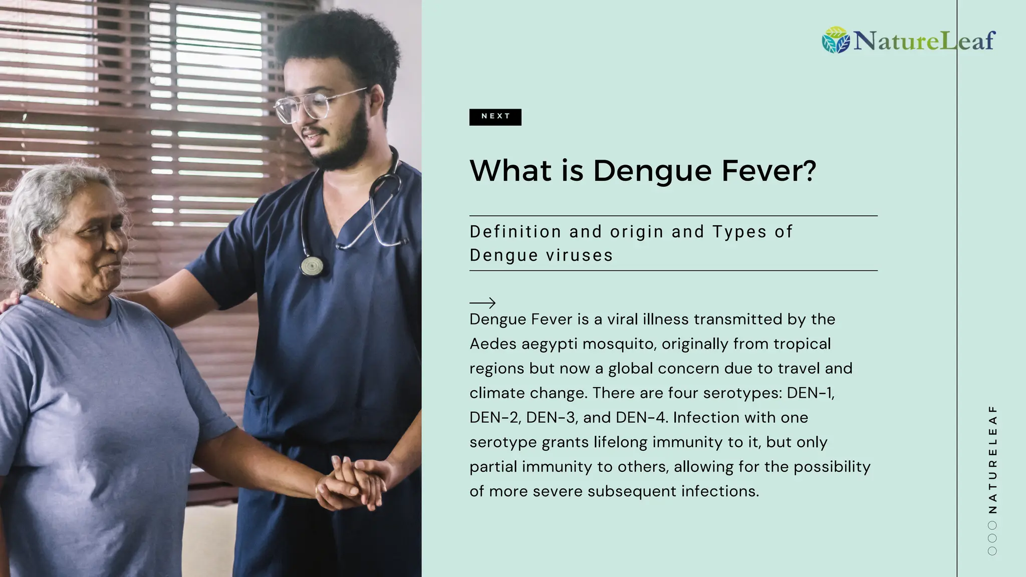 dengue it's causes and prevention. ppt submission.pdf