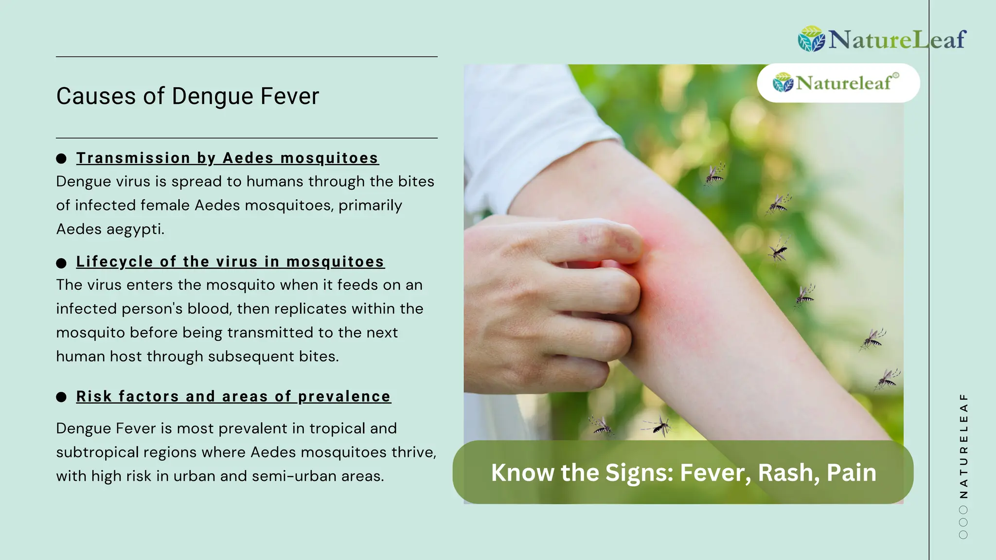 dengue it's causes and prevention. ppt submission.pdf