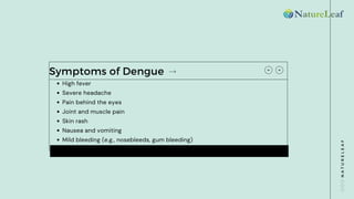dengue it's causes and prevention. ppt submission.pdf