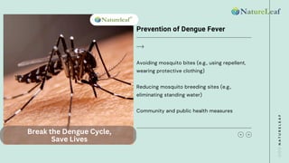 dengue it's causes and prevention. ppt submission.pdf