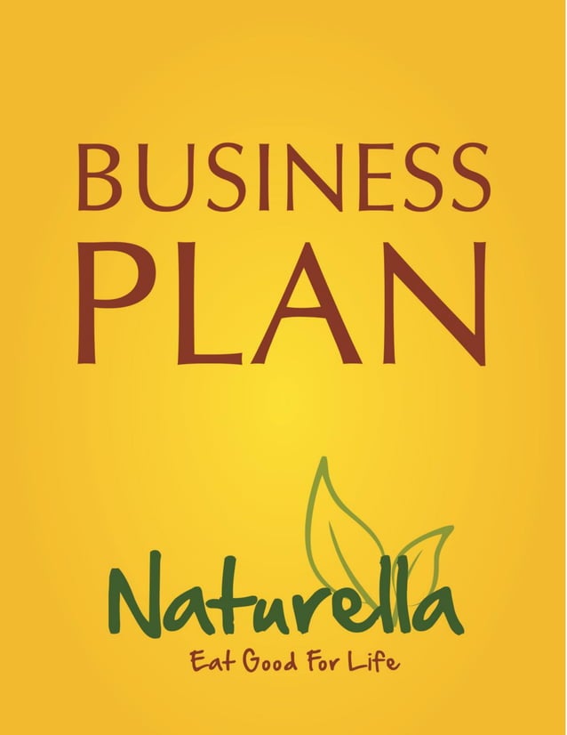 Comprehensive Business Plan | PDF | Business Accounting & Finance ...