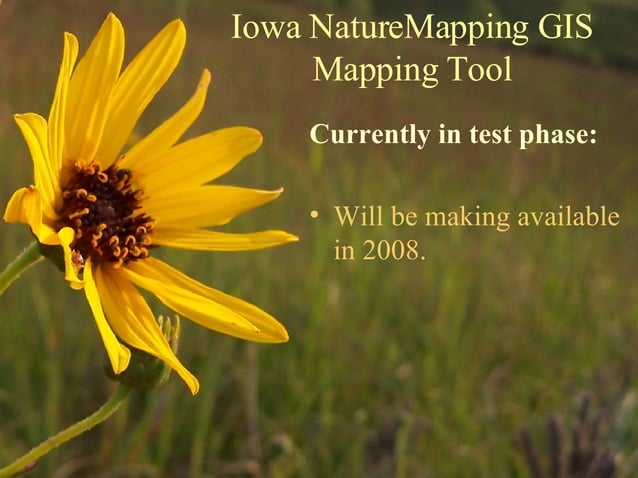 NatureMapping Lrtf Roadkill 07 | PPT