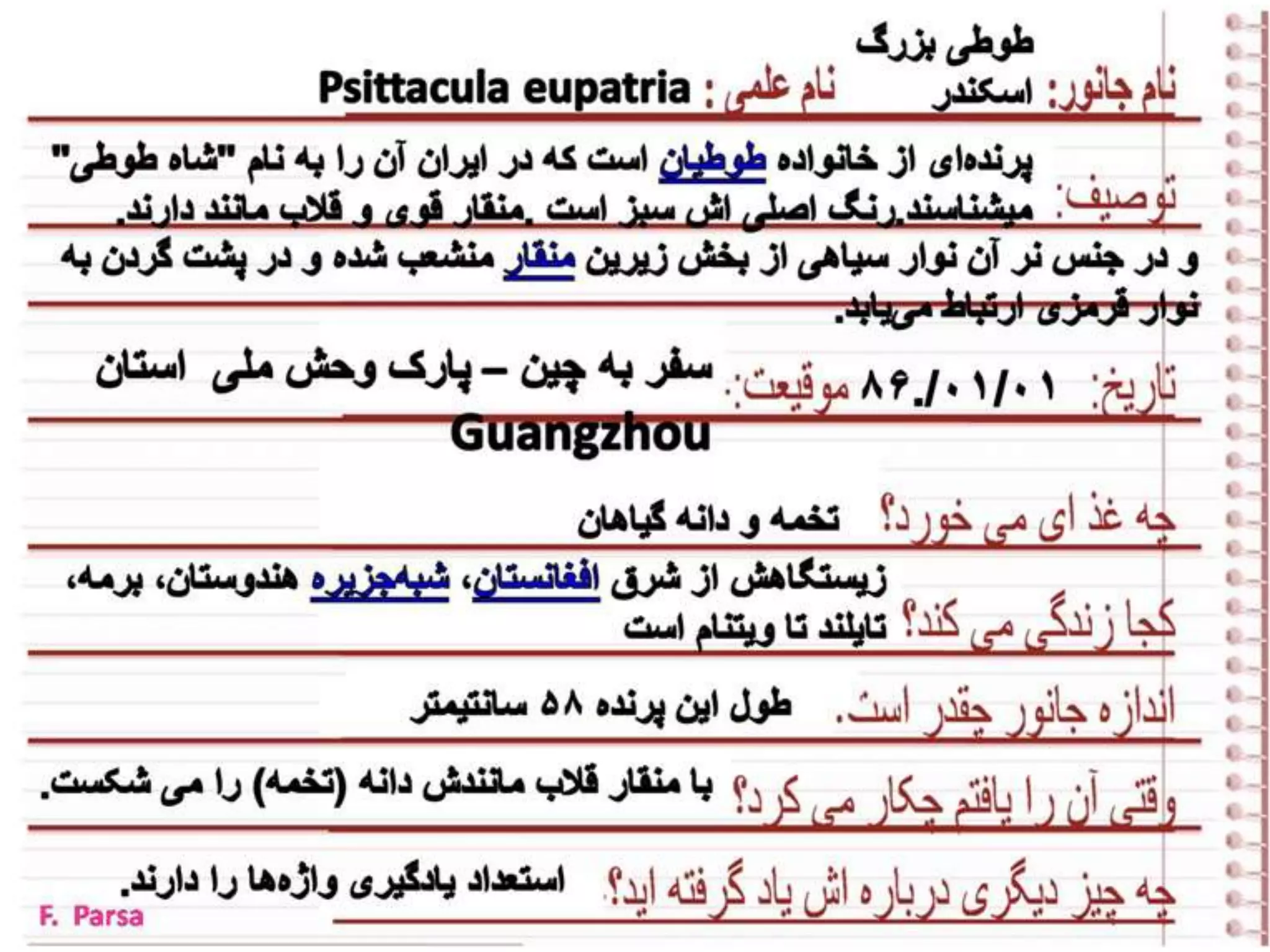 Nature Notebook Animals | PPTX