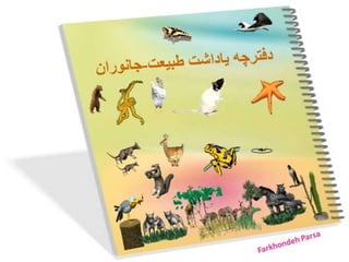 Nature Notebook Animals | PPTX