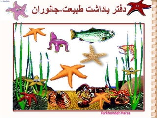 Nature Notebook Animals | PPTX