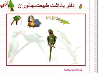 Nature Notebook Animals | PPTX