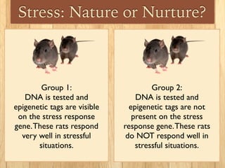 Nature vs Nurture Continued | PDF