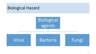Nature of Environmental Hazards and Risks and there types. | PPTX