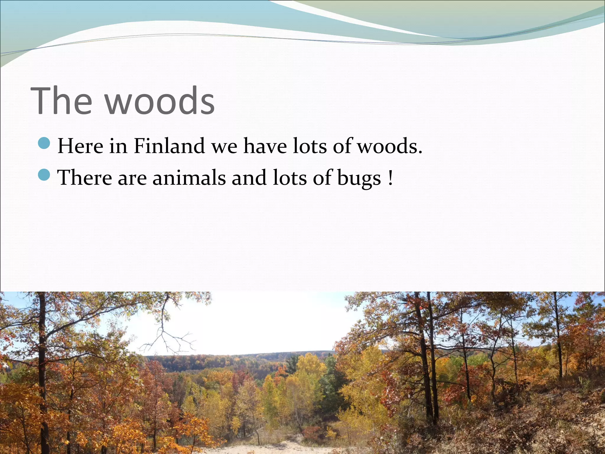 Nature of finland | PPT