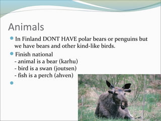 Nature of finland | PPT