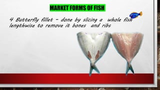 Nature of fish.pptx