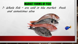Nature of fish.pptx