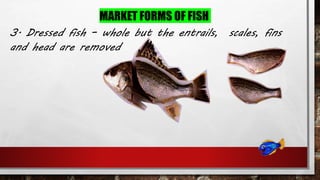 Nature of fish.pptx