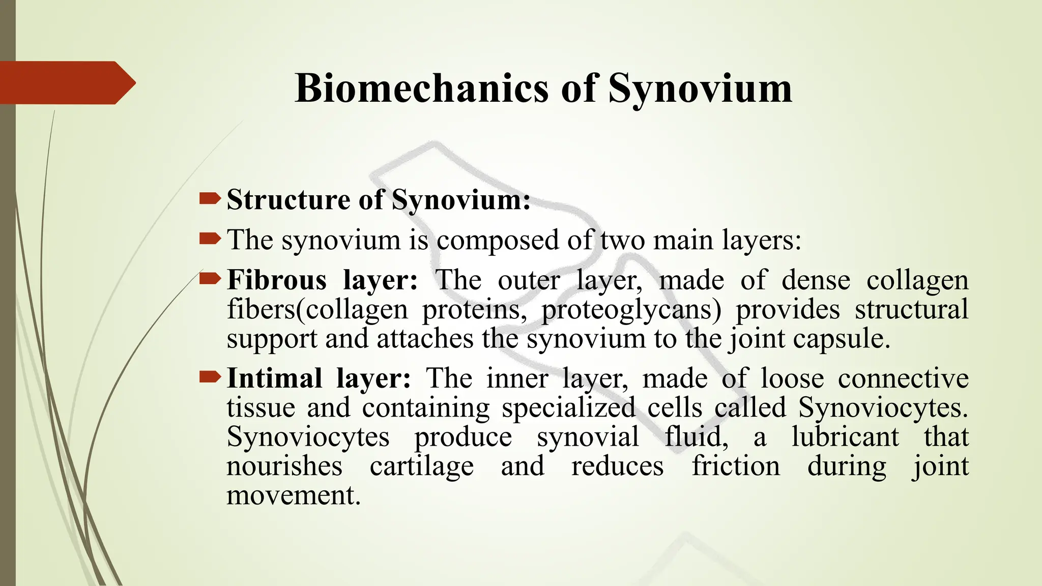 Nature of Joints & Joints Diseases ppt.pptx
