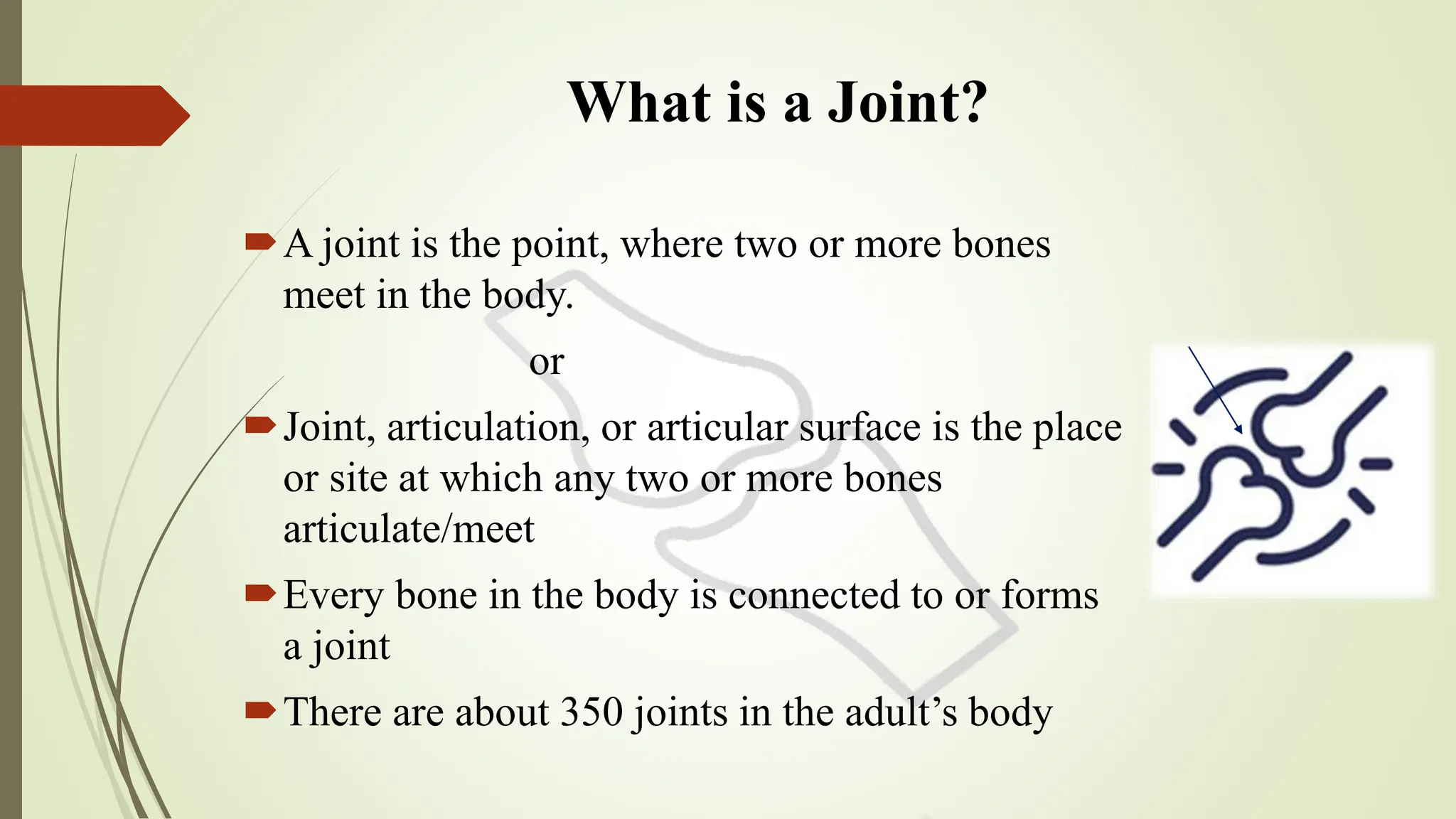Nature of Joints & Joints Diseases ppt.pptx