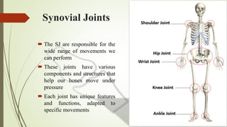 Nature of Joints & Joints Diseases ppt.pptx