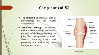 Nature of Joints & Joints Diseases ppt.pptx